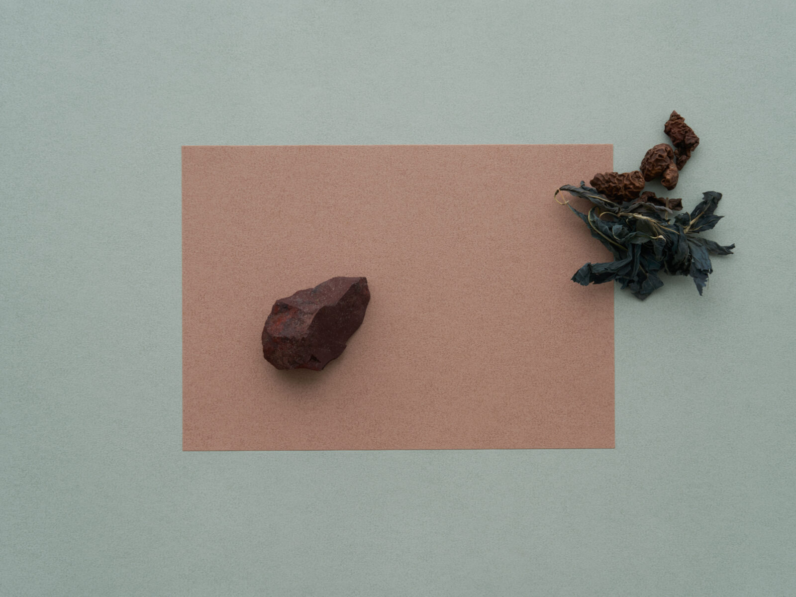 Tokushu Tokai Paper - GOTTINGHAM, UNTITLED...GOTTINGHAM, UNTITLED…